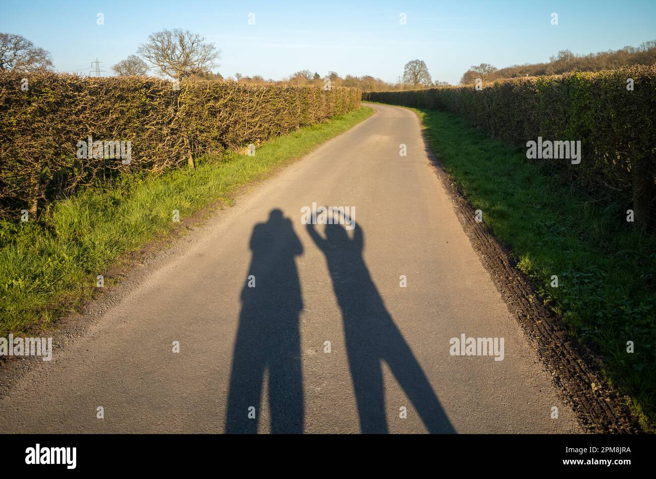 The elongated shadows of a couple as they walk down a countrry lane in ...
