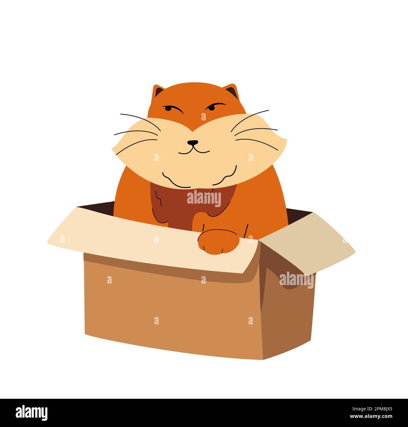 Cute Red cat inside box. Funny kitty sitting in cardboard package ...
