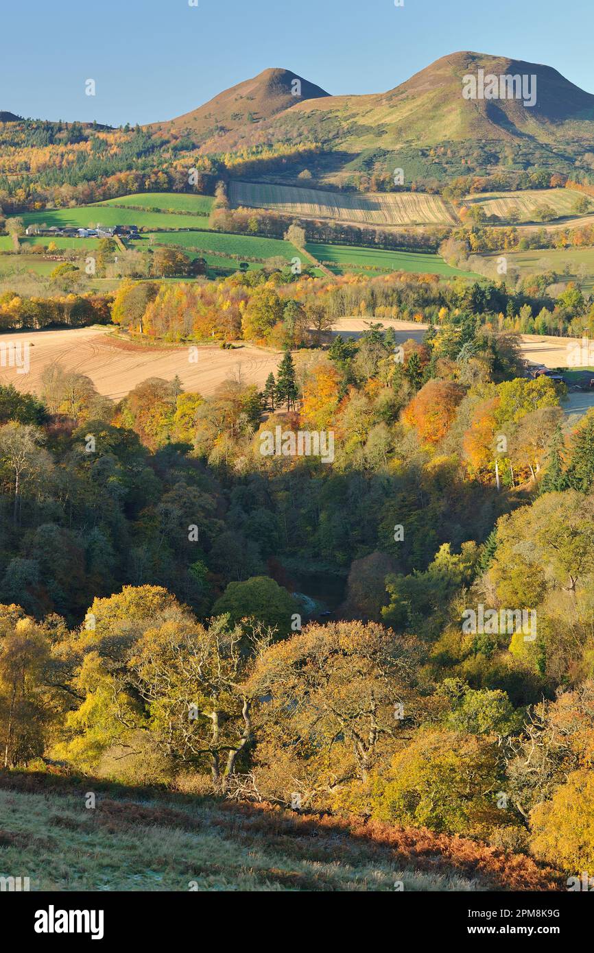 Scotts View above River Tweed with Eildon Hills in the background ...