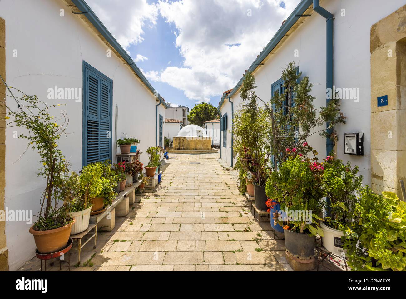 İbrahimpaşa Mahallesi, Cyprus. Samanbahce neighborhood. First social ...