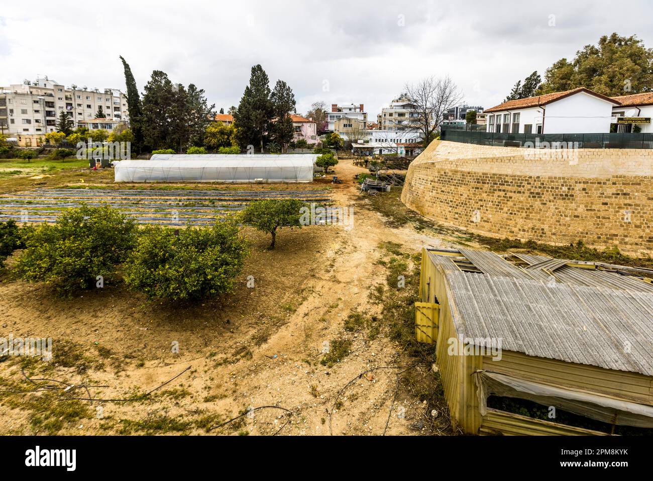 Greenhouses and fruit trees in the Buffer Zone in Nicosia and parts of ...