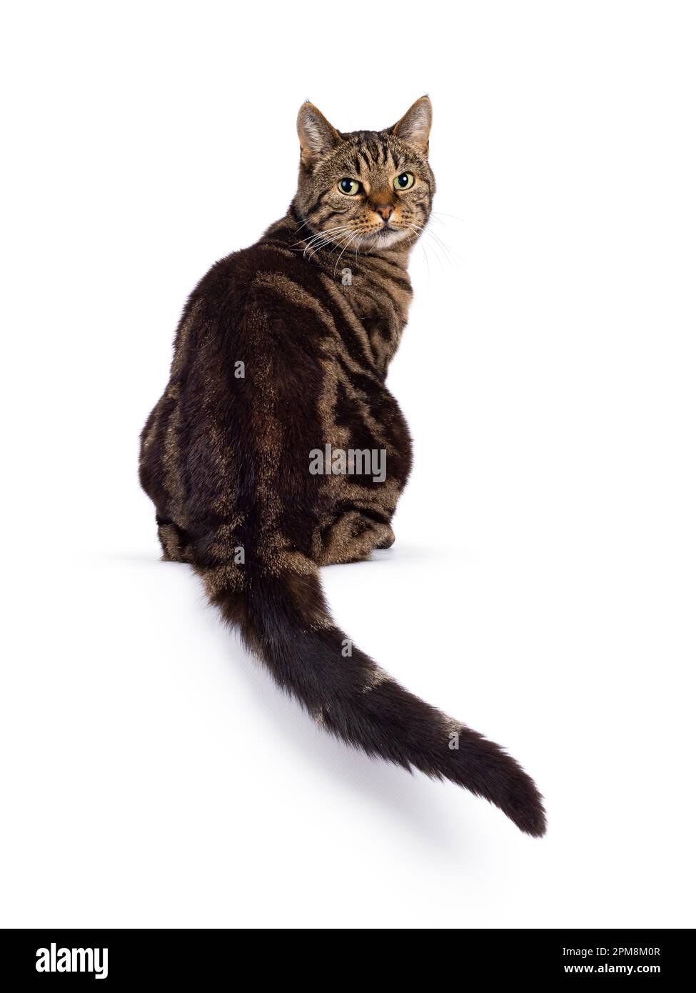 Sitting backwards hi-res stock photography and images - Alamy