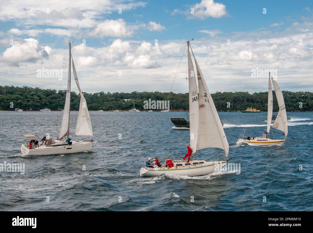 Sailing on Sydney Harbour, NSW. Australia Stock Photo - Alamy