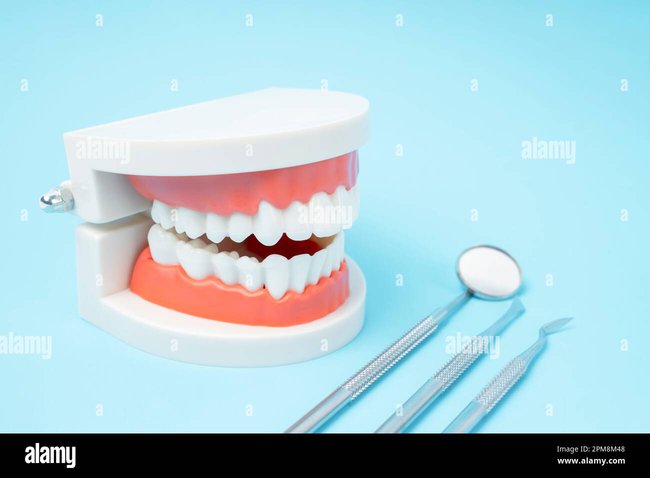 Dentures model and instrument dental on blue background Stock Photo - Alamy