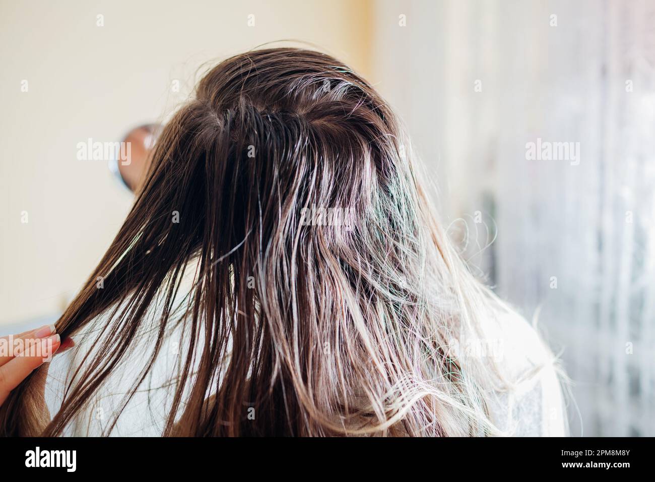 Greasiest Hair In The World