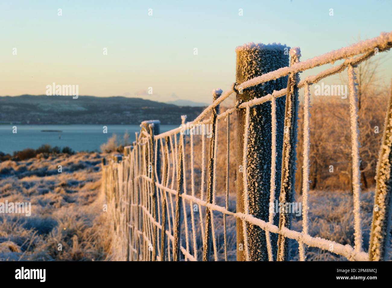 Frozen wire hi-res stock photography and images - Alamy