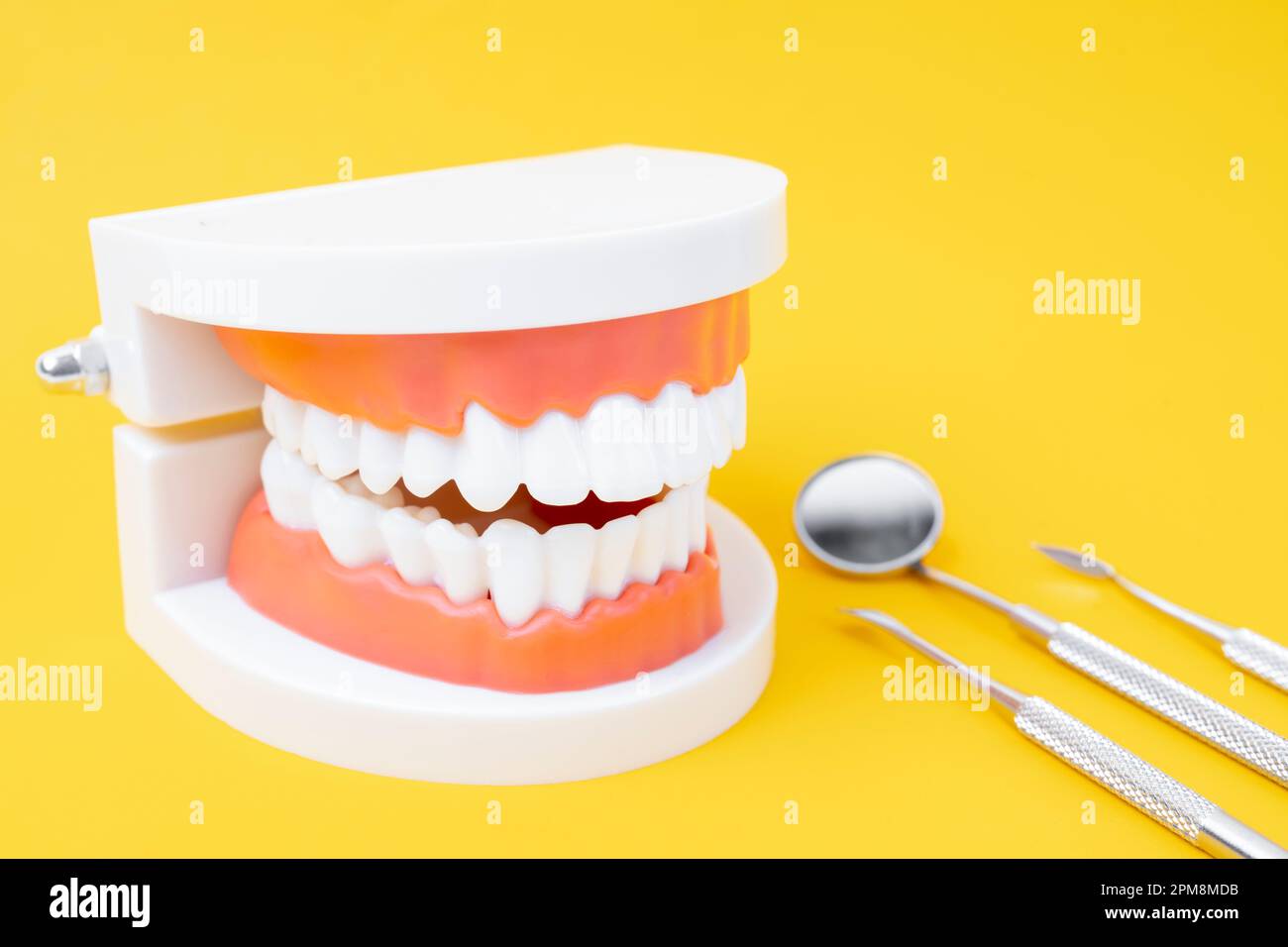 Dentures model and instrument dental on yellow background Stock Photo ...
