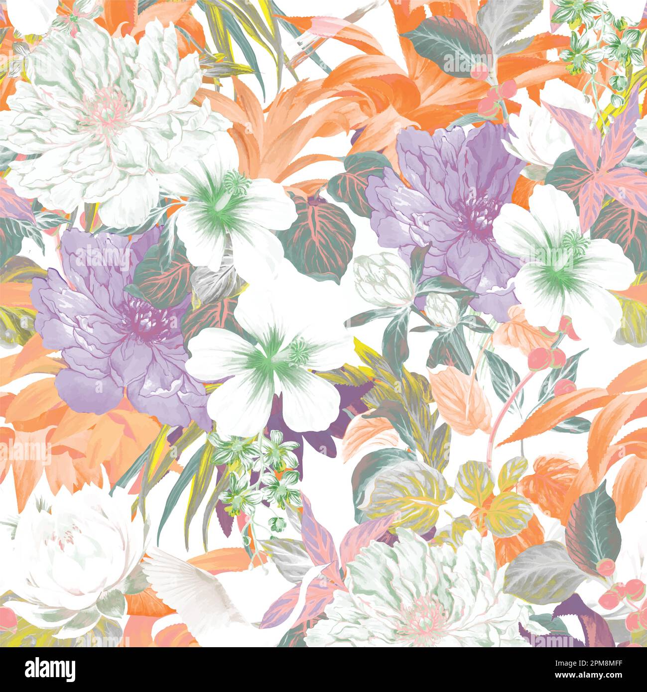 High level animals Stock Vector Images - Alamy