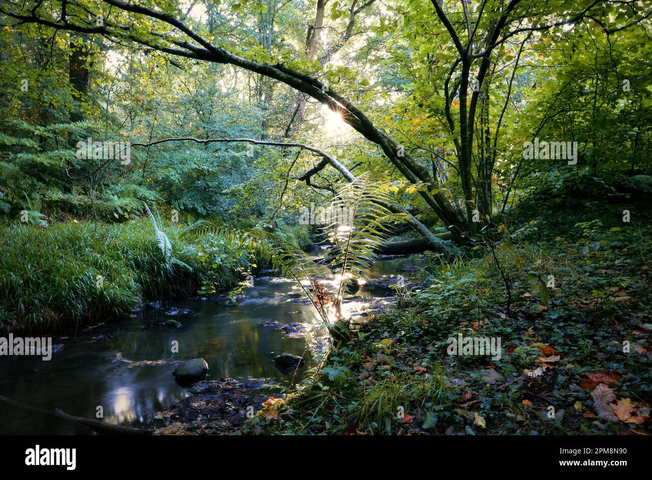 Falling foss autumn hi-res stock photography and images - Alamy