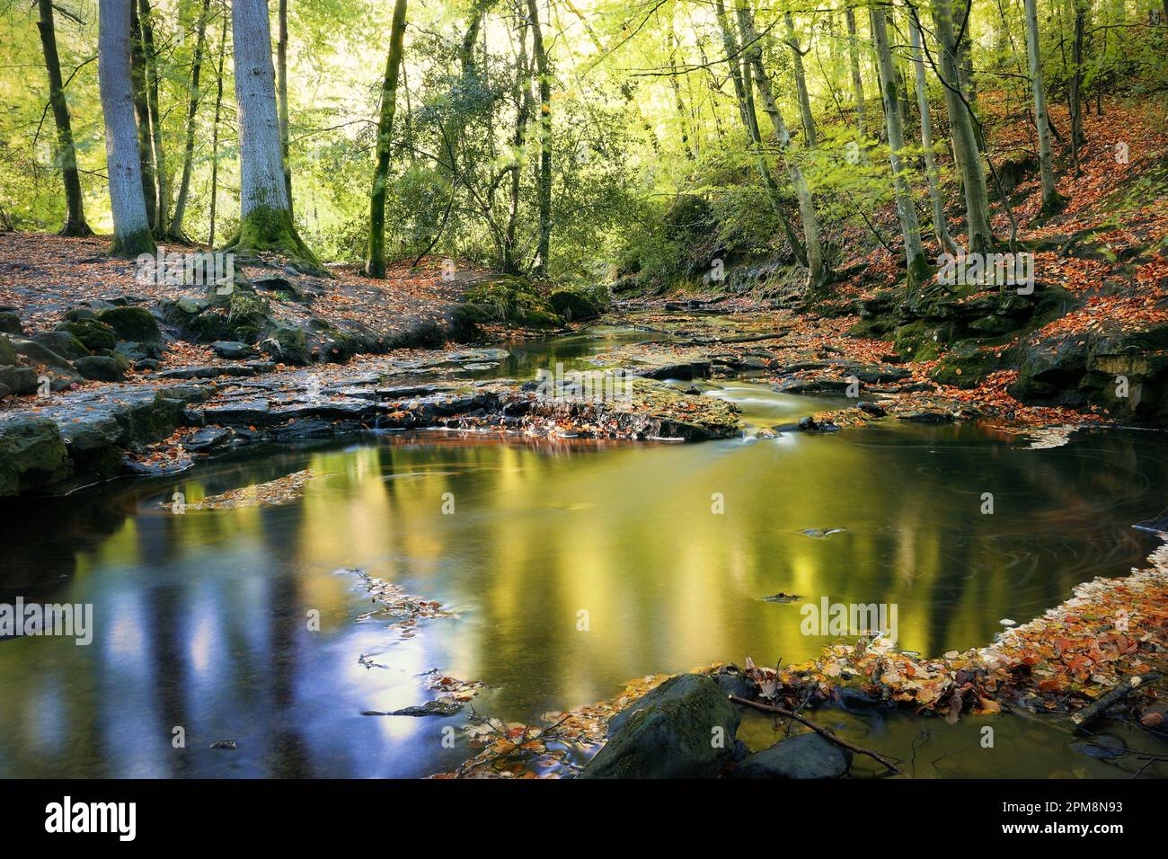 Falling foss autumn hi-res stock photography and images - Alamy