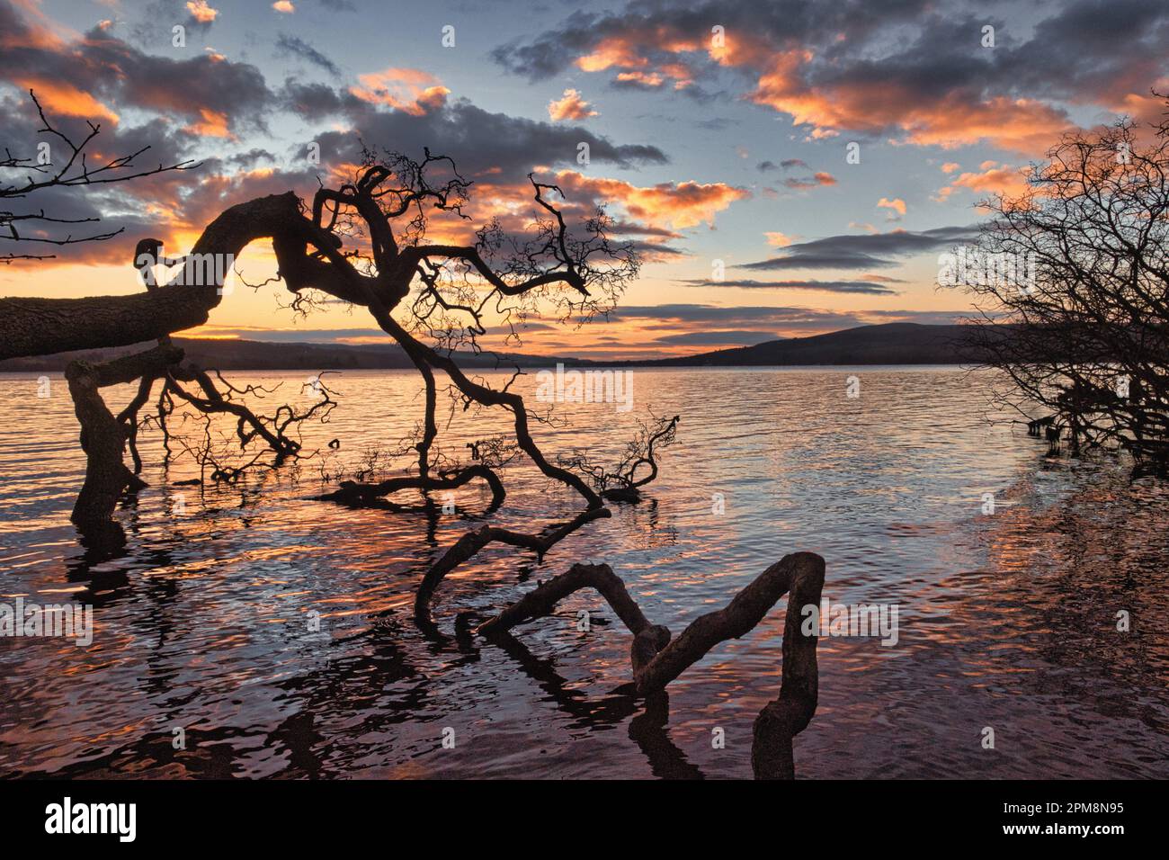 Whiskey sunrise hi-res stock photography and images - Alamy