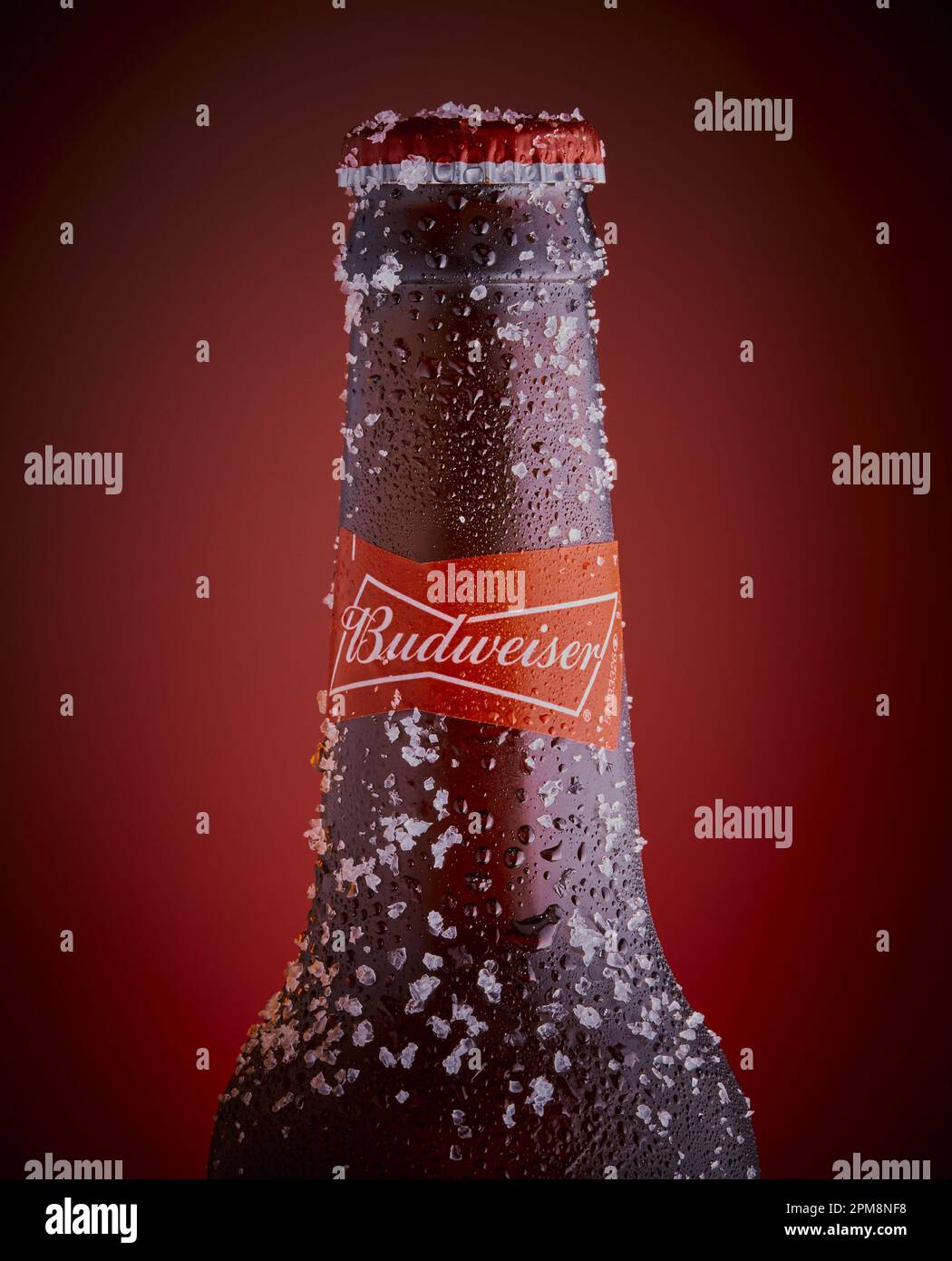 Budweiser bottle ice hi-res stock photography and images - Alamy