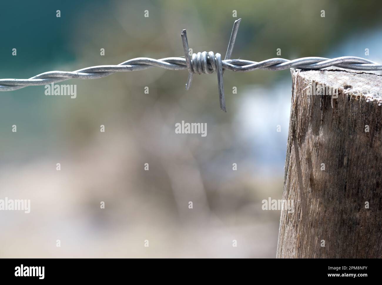 Extreme close up of barbed wire attached to wooden pole against blurred ...