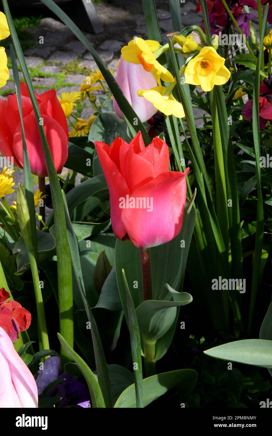 Garden adn country hi-res stock photography and images - Alamy
