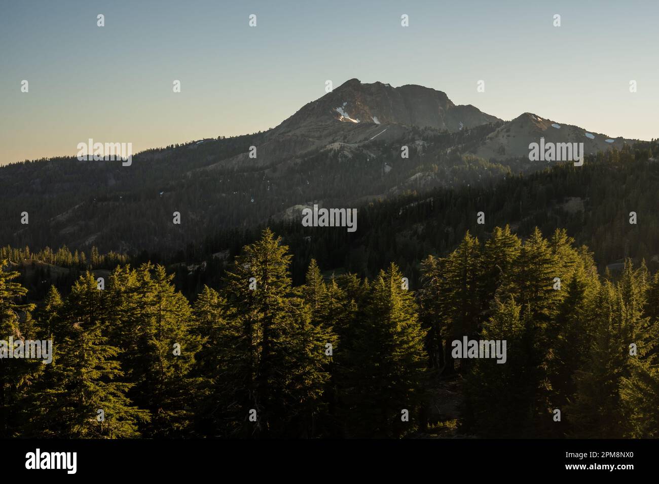 Layers of Forest And Shadow Below Lassen Peak on quiet evening Stock ...