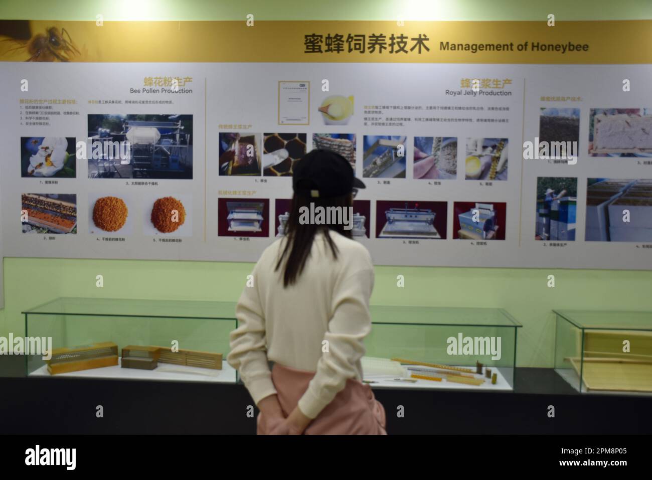 Visit the China Bee Museum at Beijing Botanical Garden in Beijing ...