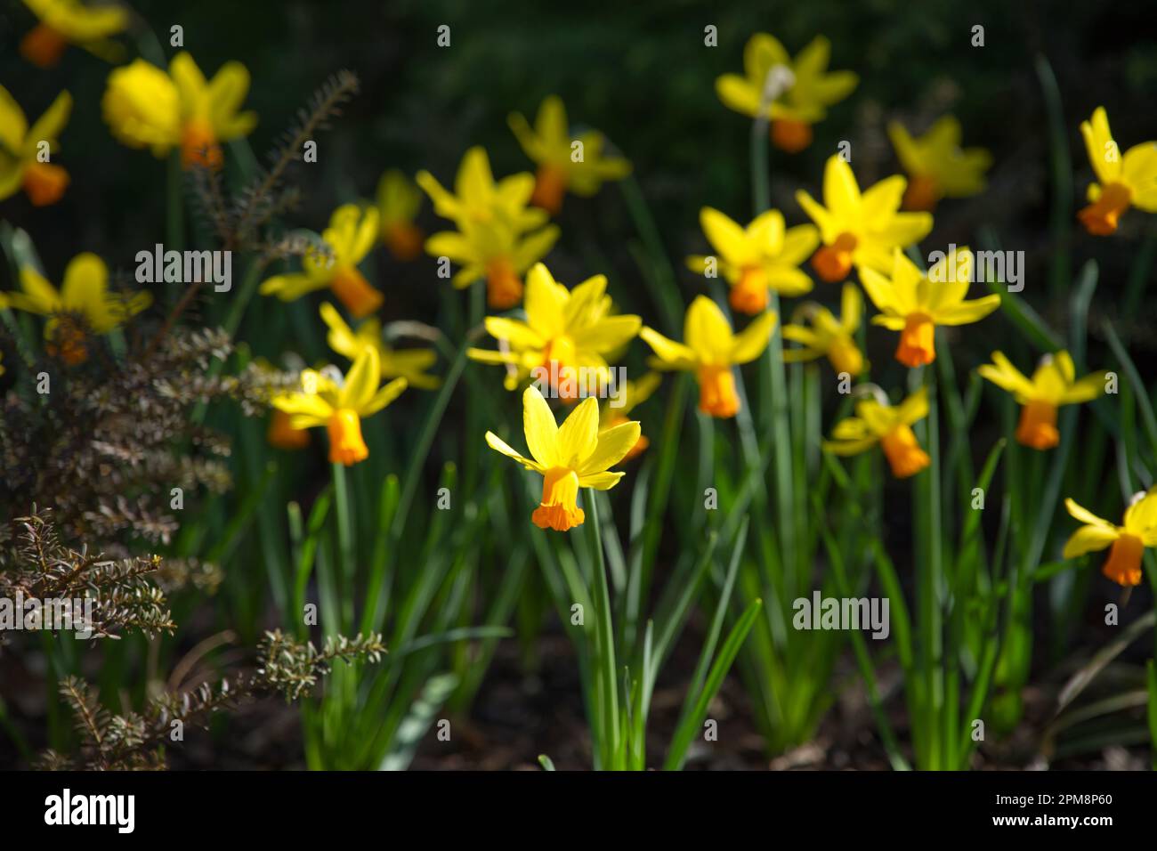 Itzum hi-res stock photography and images - Alamy