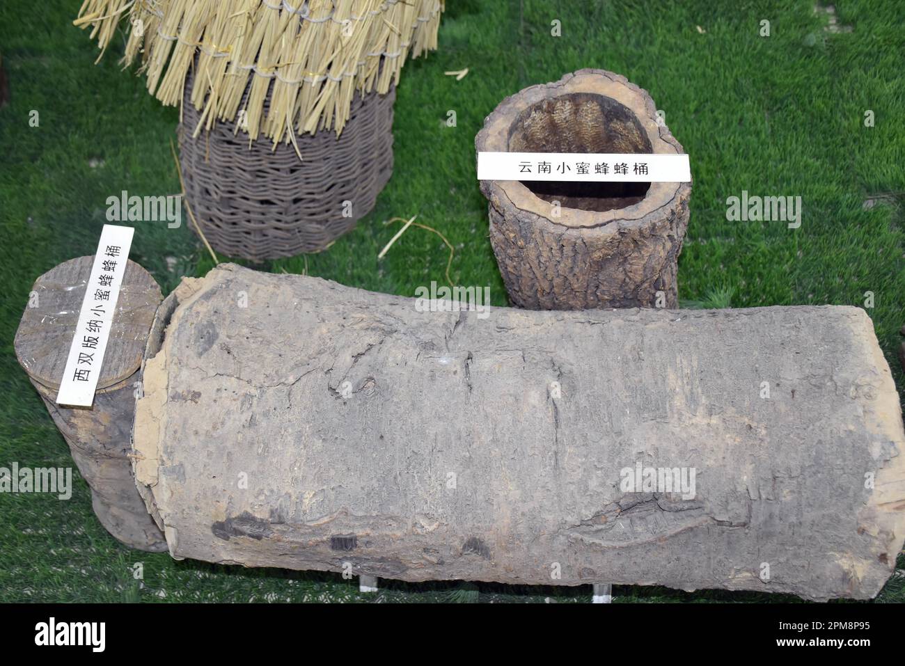 Visit the China Bee Museum at Beijing Botanical Garden in Beijing ...