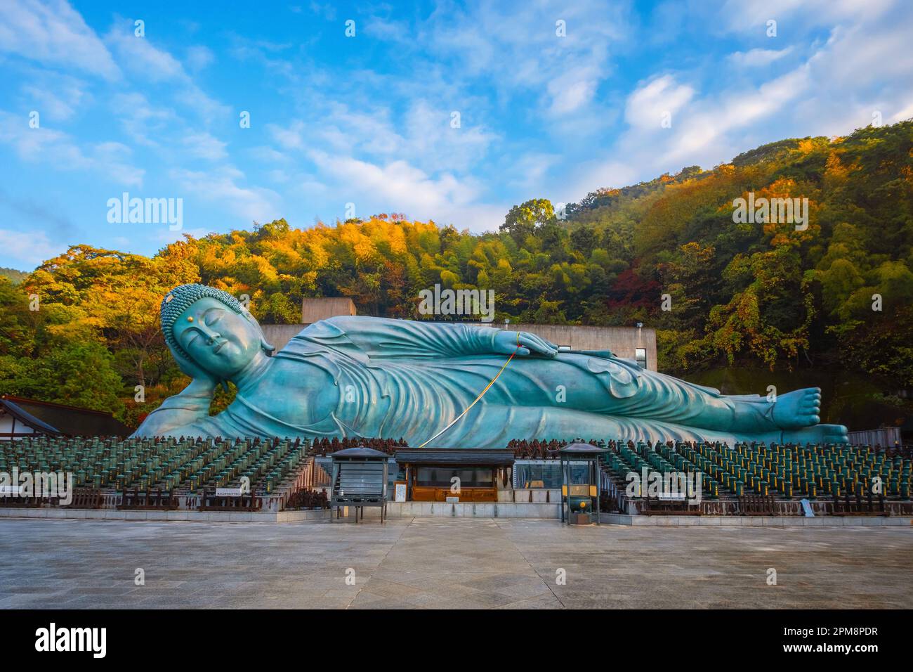 Fukuoka, Japan - Nov 21 2022: Nanzoin Temple in Fukuoka is home to a ...