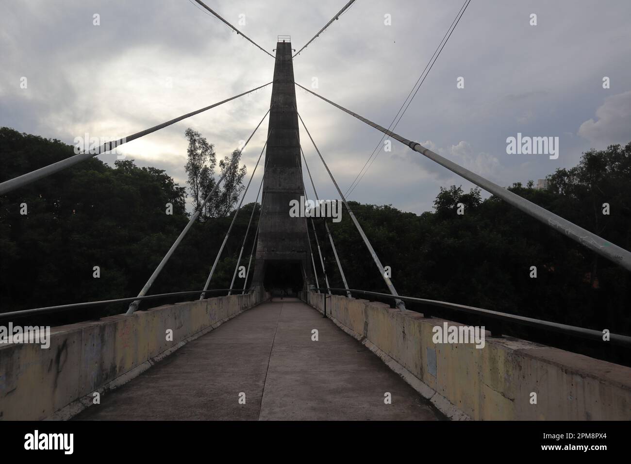 Pedestrian cable-stayed bridge over Piracicaba River turbulent waters ...
