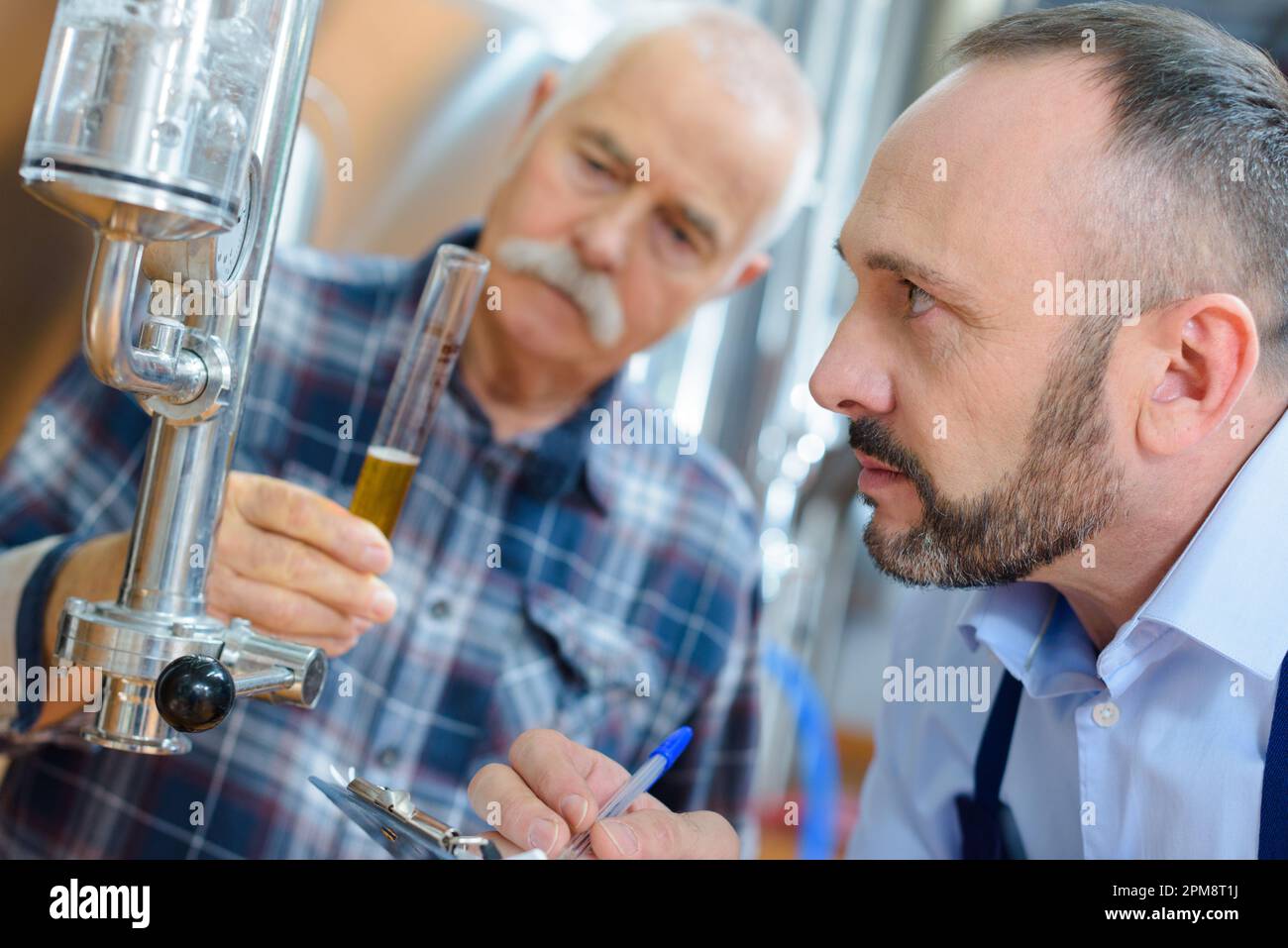 beer inspector inspecting the product Stock Photo - Alamy