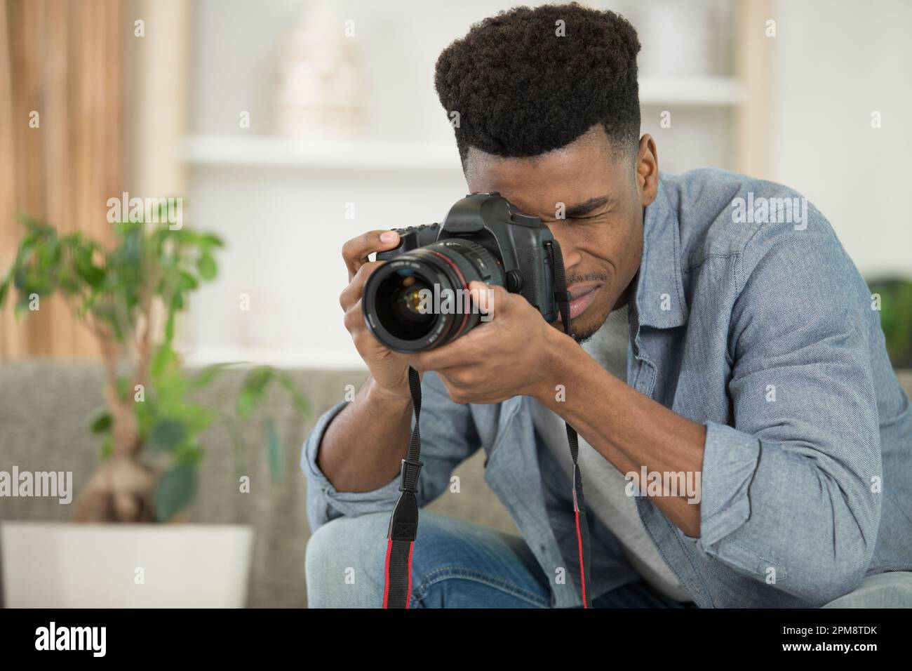 man focusing his camera to photograph a houseplant Stock Photo - Alamy