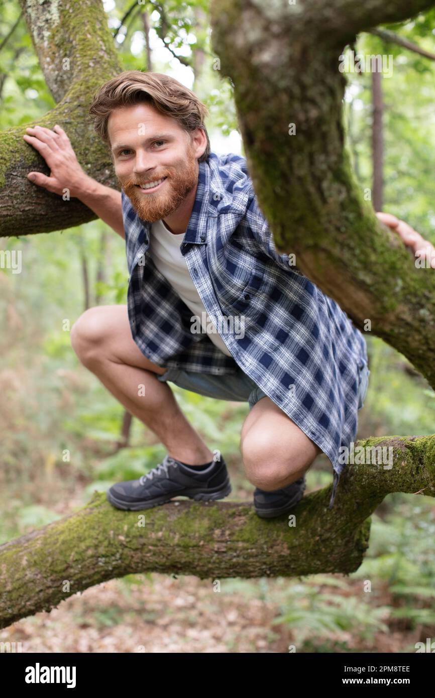 Man hanging onto branch of tree hi-res stock photography and images - Alamy
