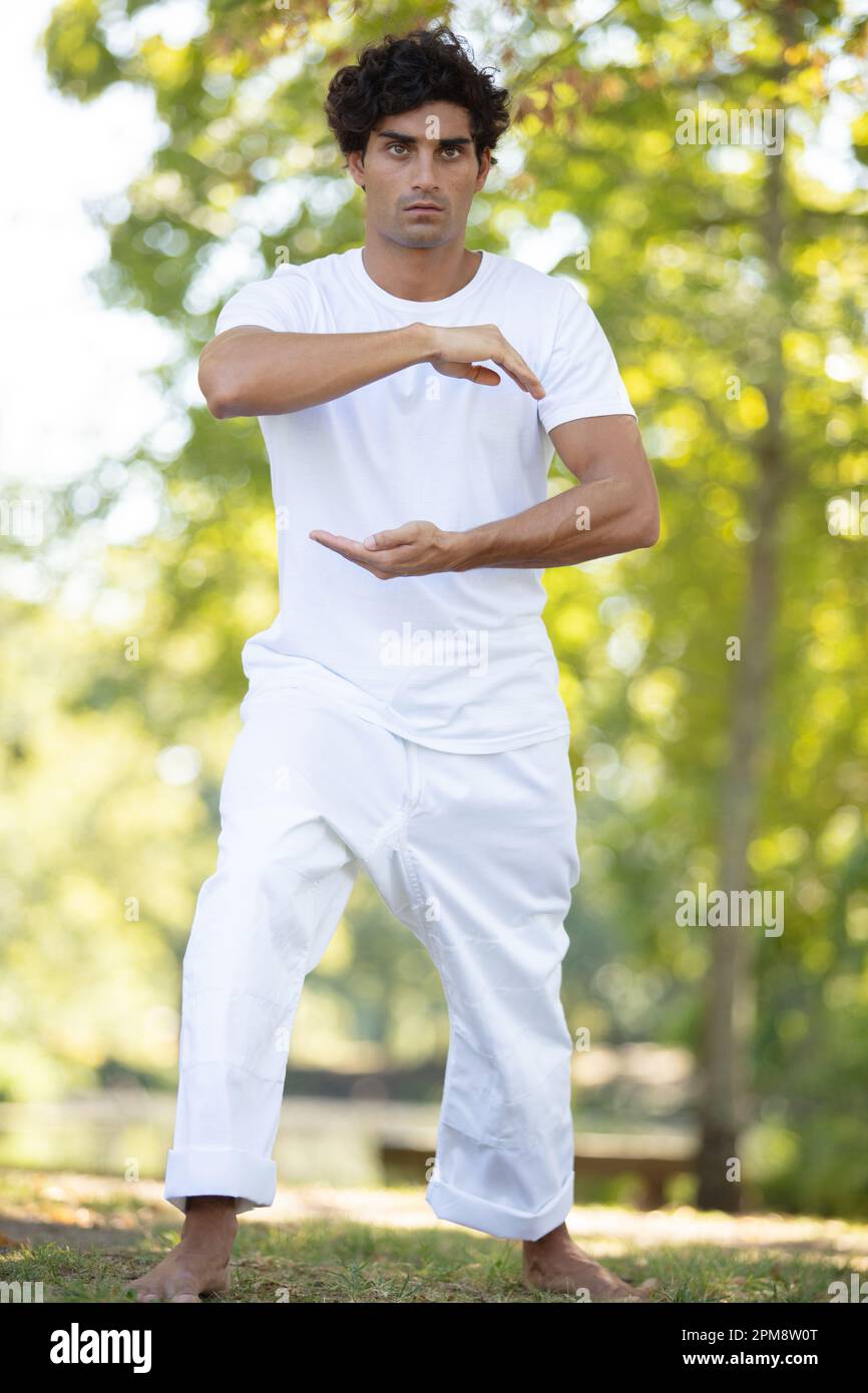 handsome man practicing thai chi Stock Photo - Alamy