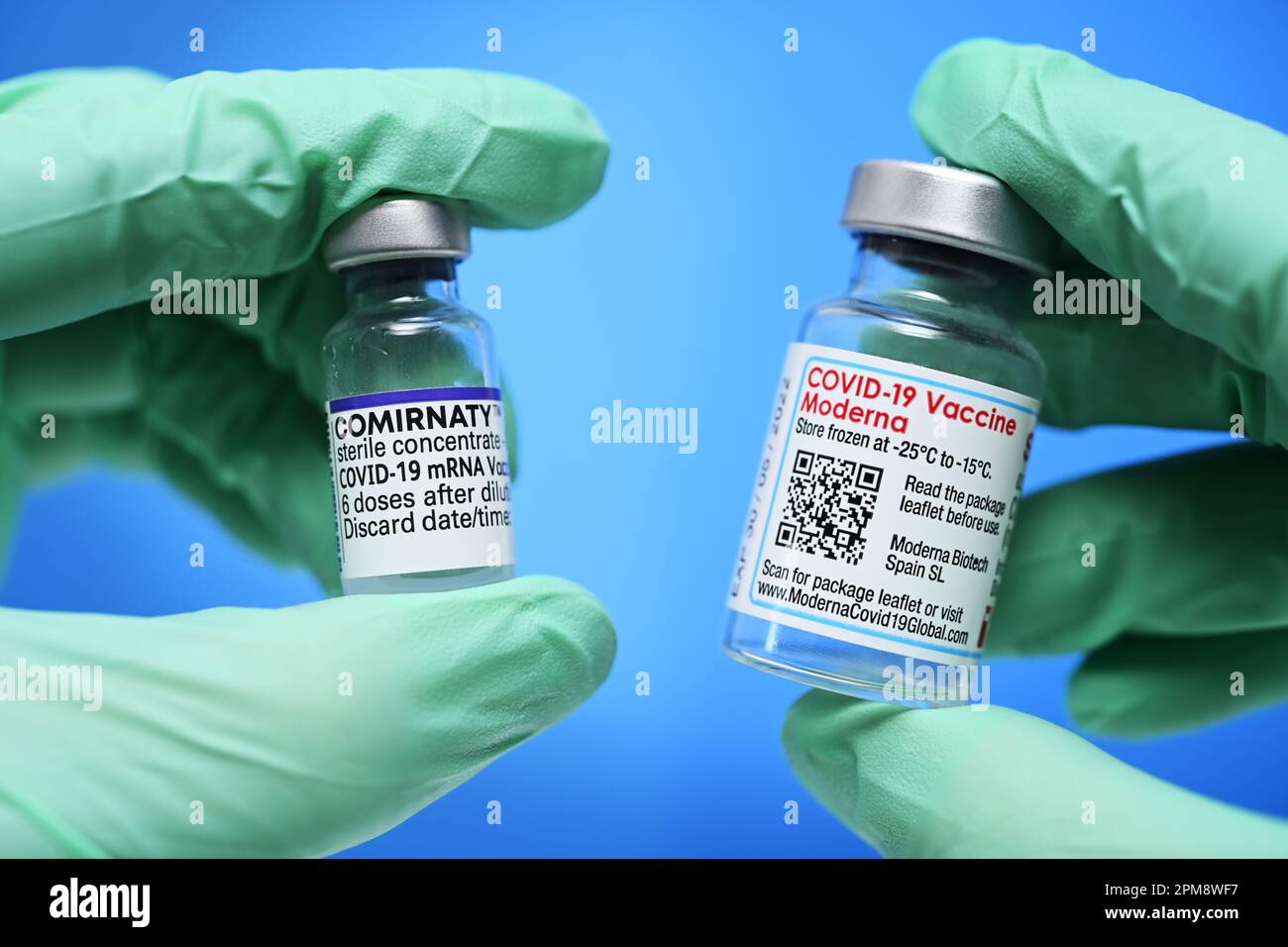 Hände in Latexhandschuhen halten Impfstofffläschchen von Moderna und ...