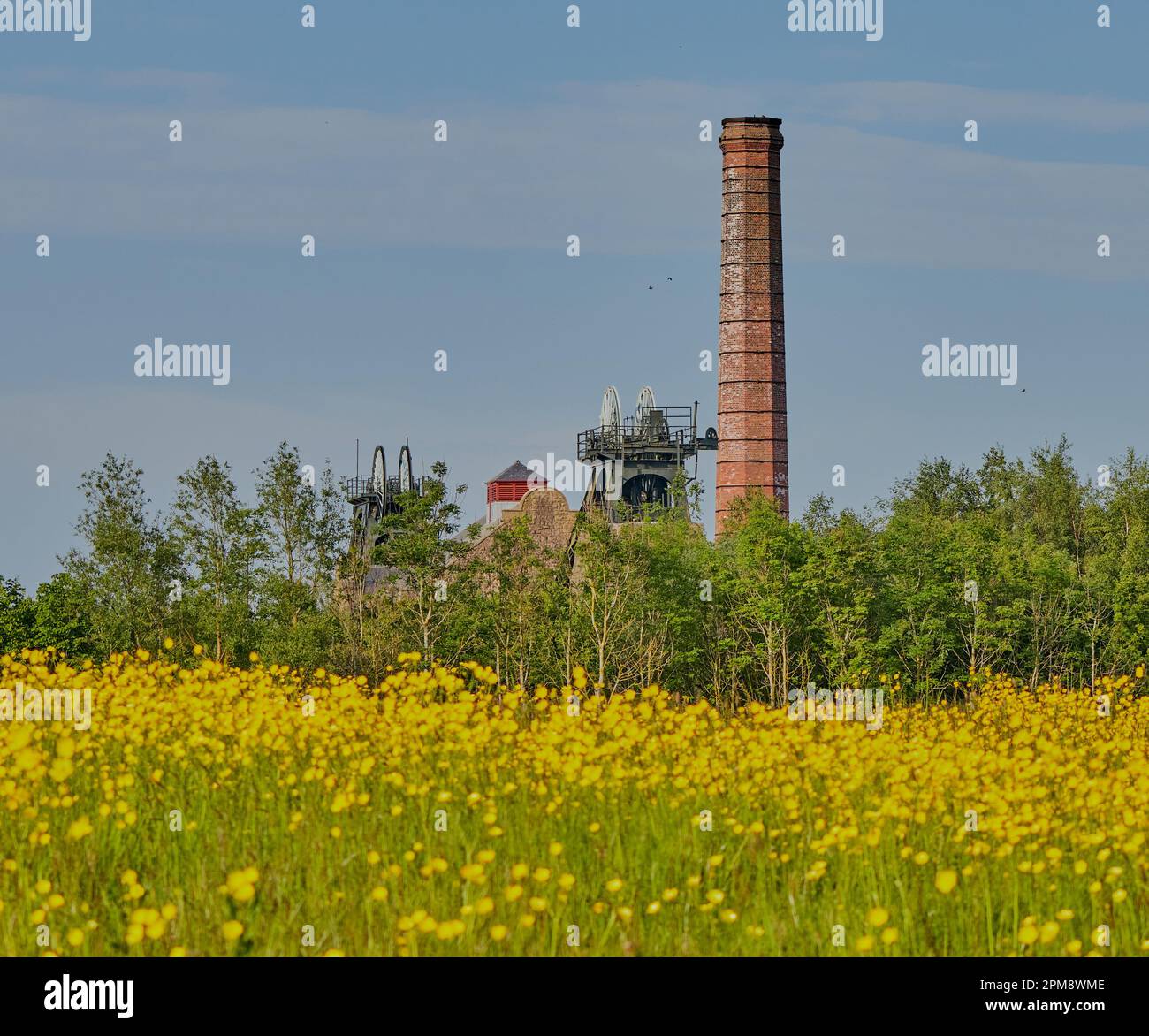 Landscape image of of beautiful field of flowers with an old coal mine ...
