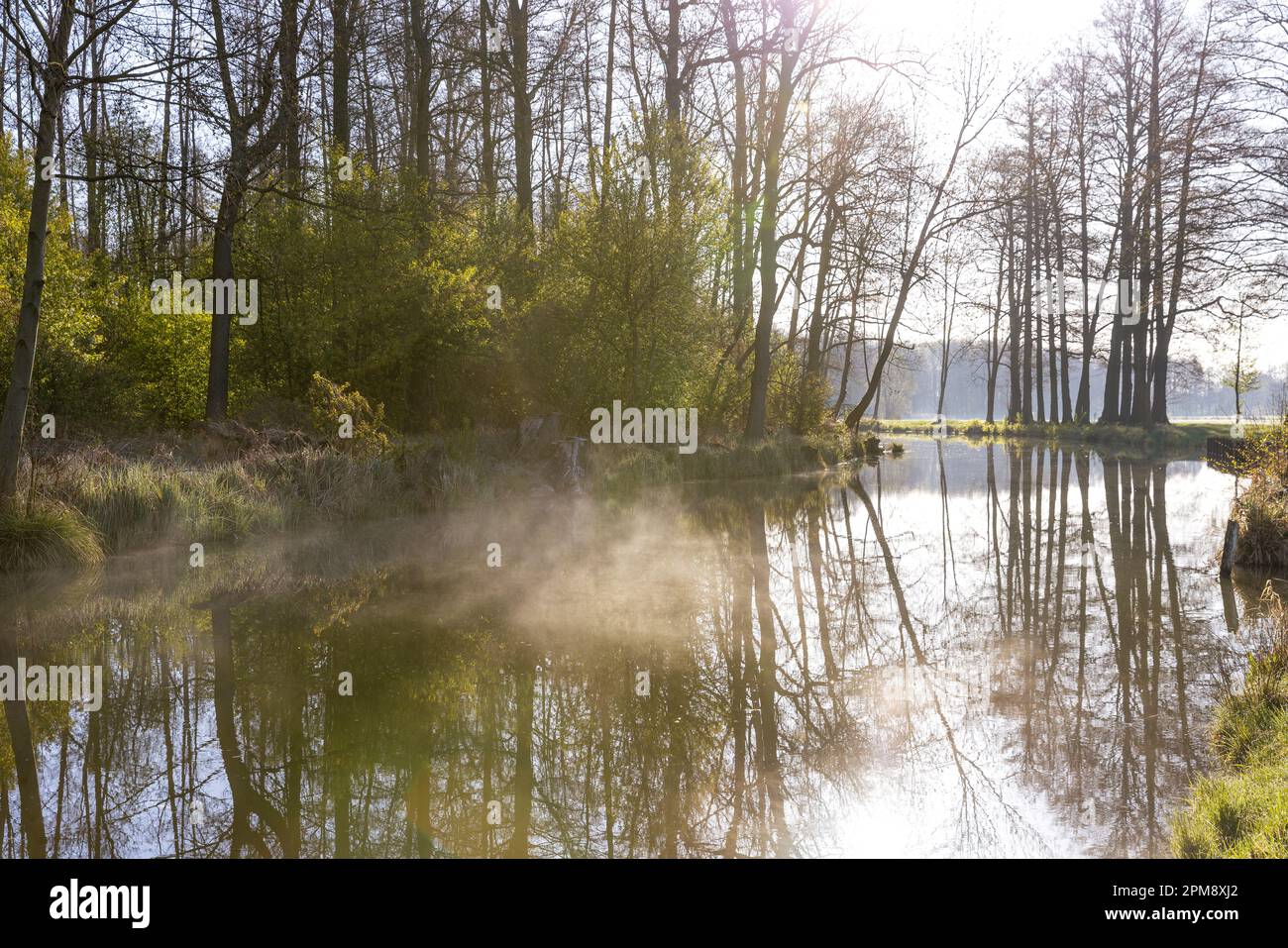 Billows of fog hi-res stock photography and images - Alamy