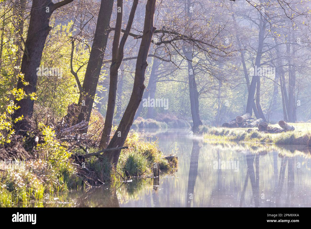 Raddusch, Germany. 12th Apr, 2023. A little fog billows over a stream ...