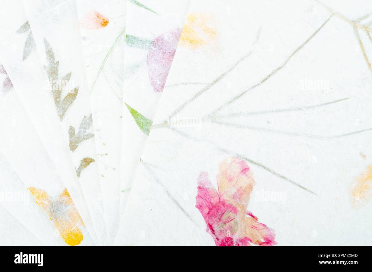 Set of Handmade recycled flower and leaf paper background Stock Photo ...