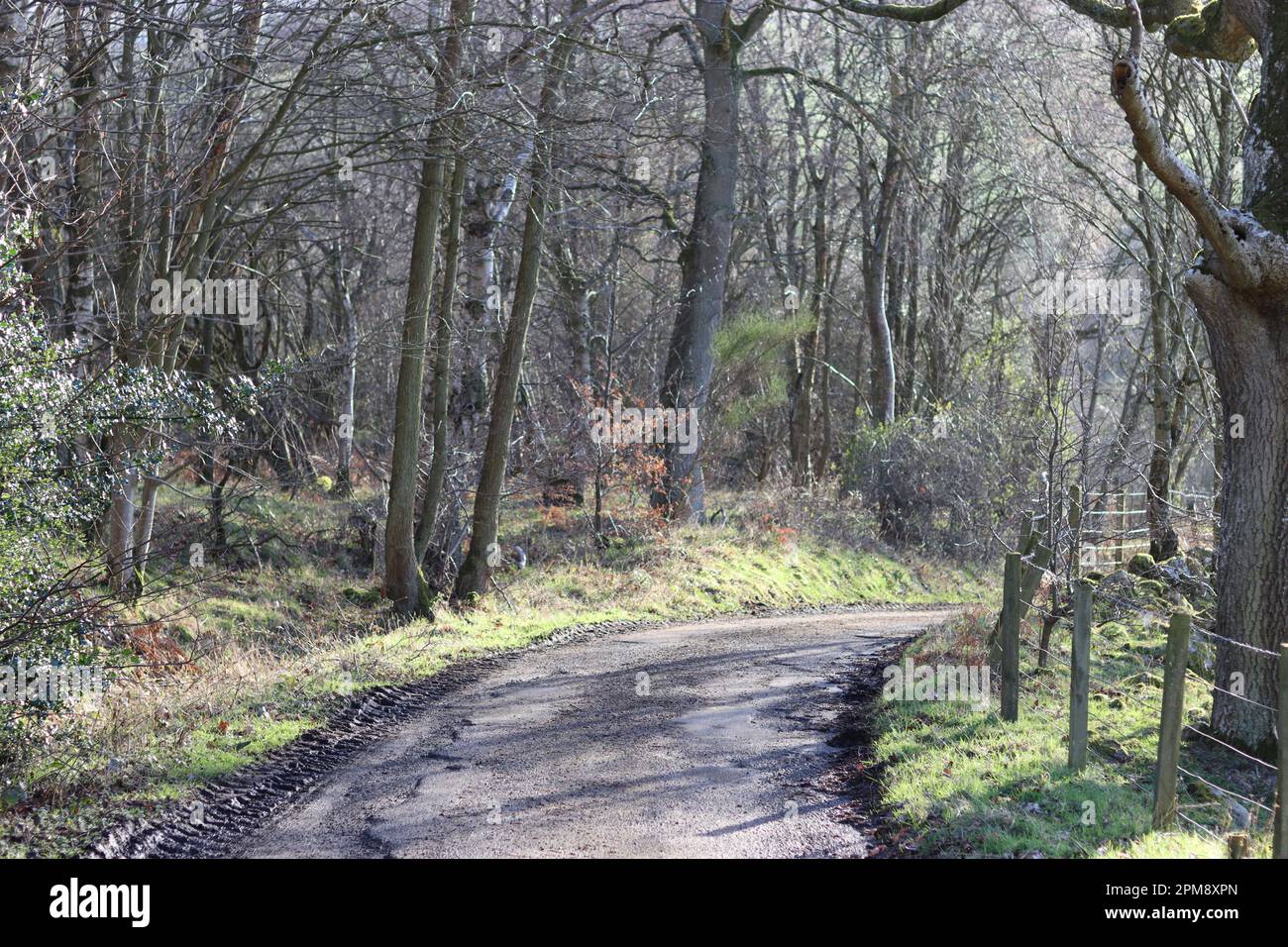 Beautiful quiet countryside hi-res stock photography and images - Alamy