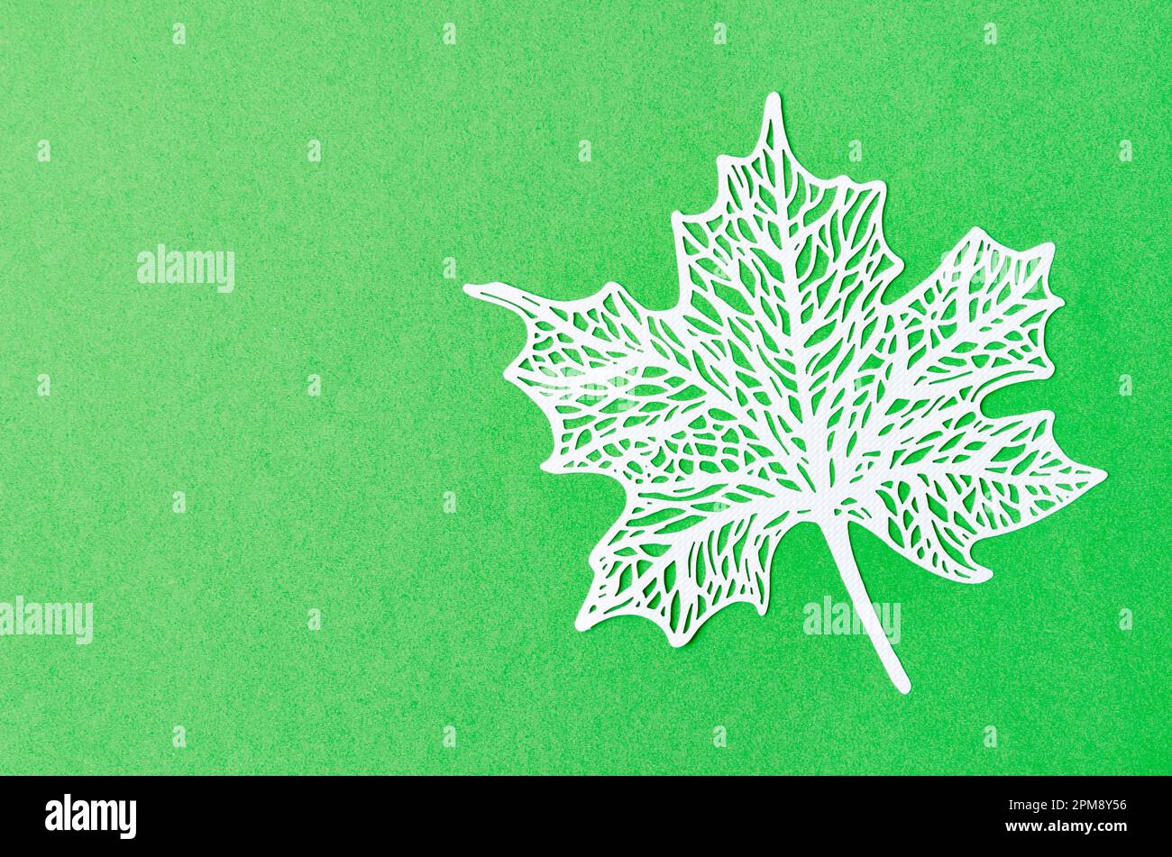 Carve of white paper leaves on a green colour cardboard background ...