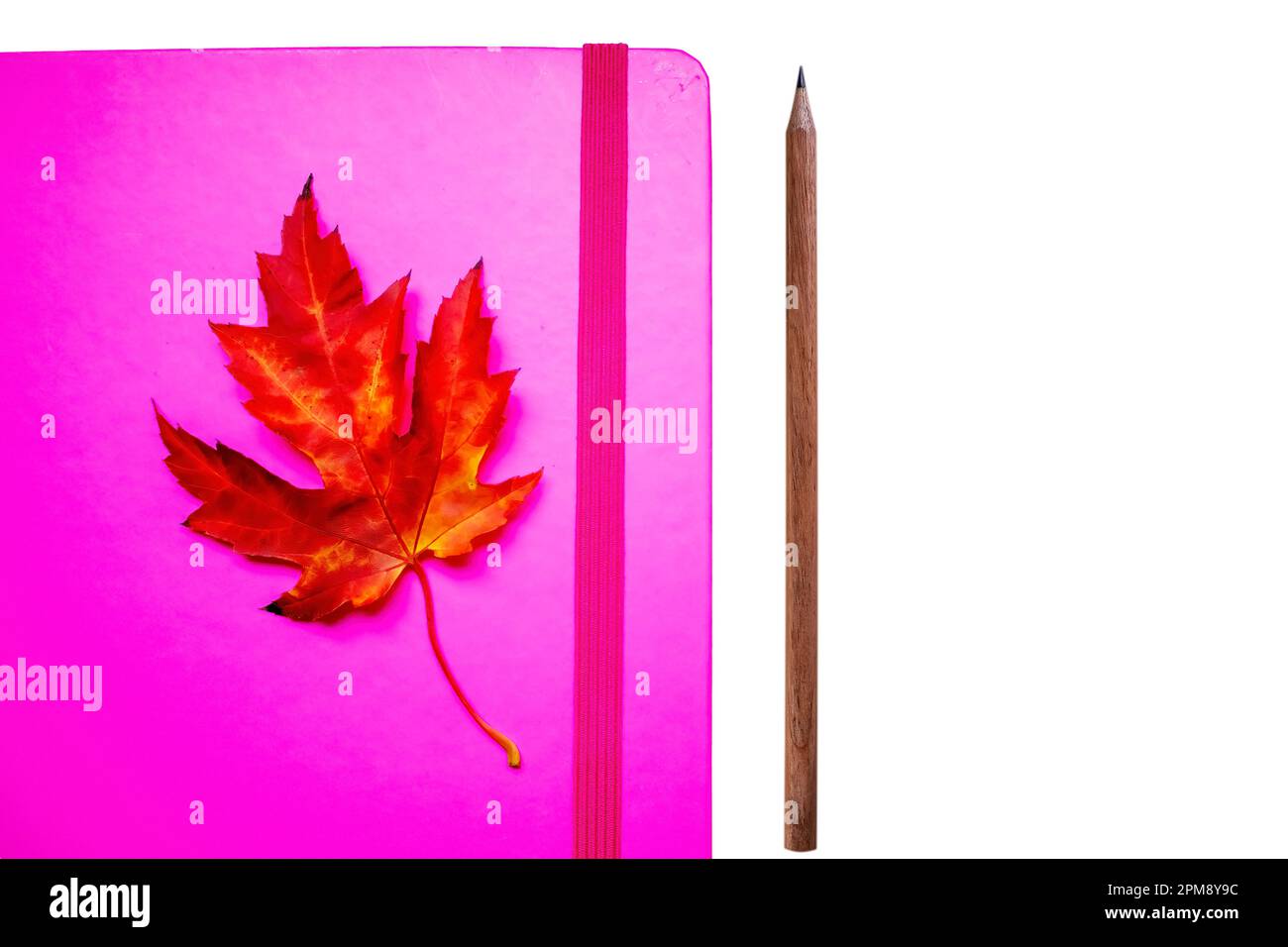Pink Notepad With Pencil Isolated on White Background Stock Photo - Alamy