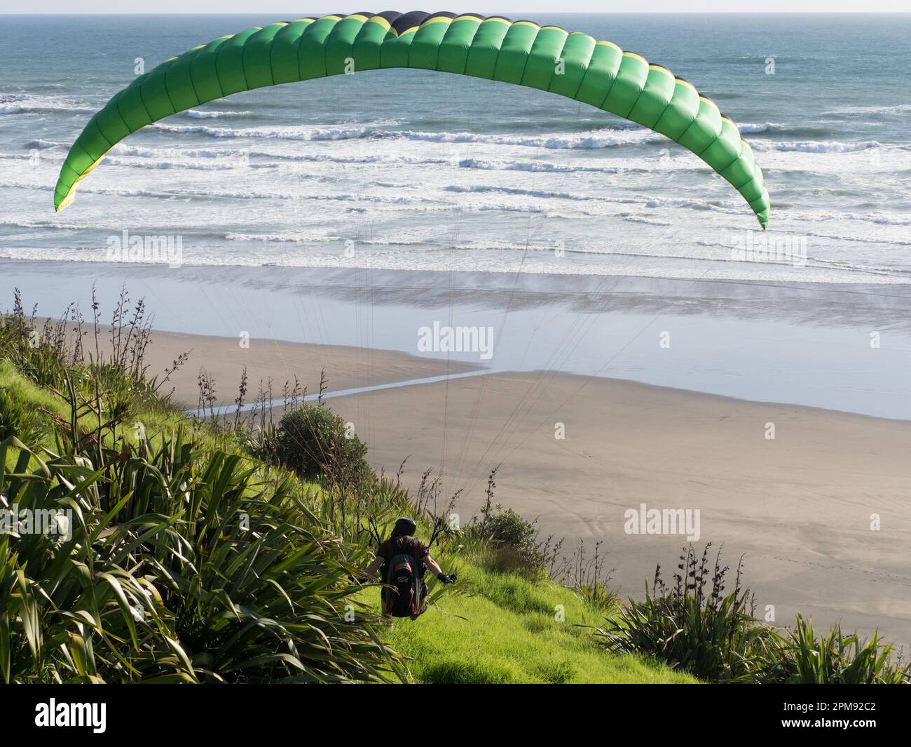 A paraglider prepares to take off a green hillside with beach and sea ...