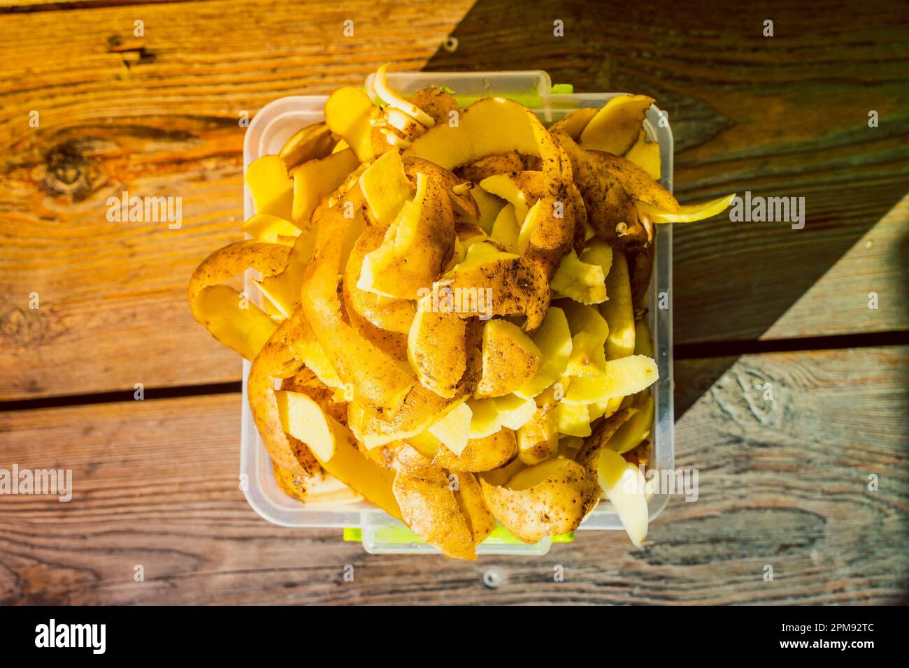Potato peel in a plastic container, close-up. Food waste sorted ...