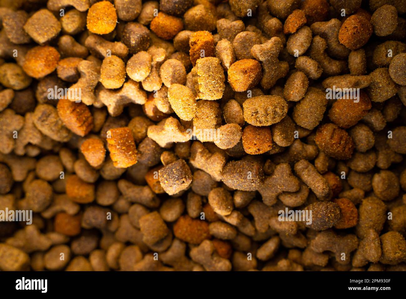 Dry dog food close-up in full screen. Background of universal dry food ...