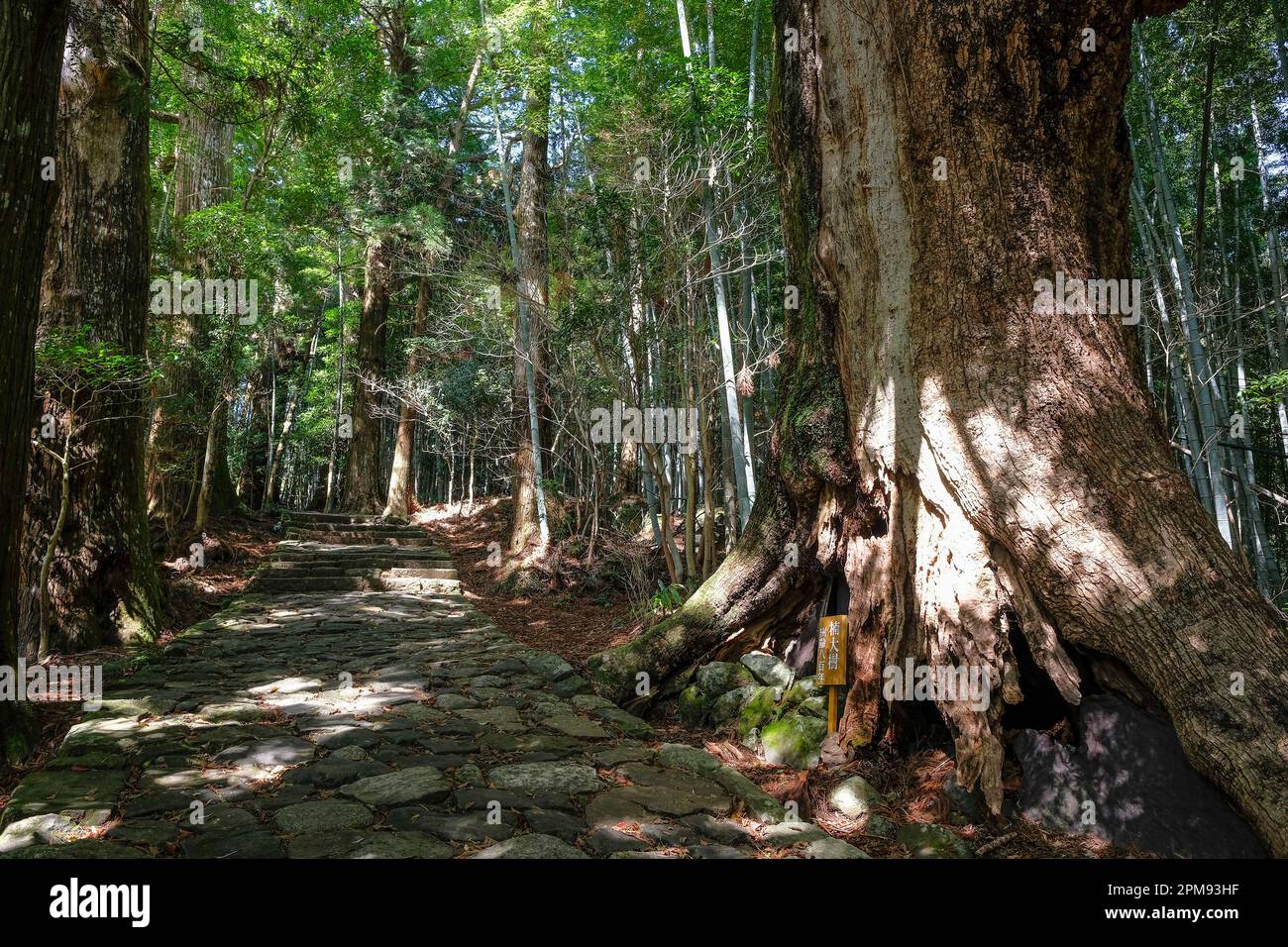 Nachikatsuura, Japan - March 19, 2023: Daimon-zaka is a famous slope is ...