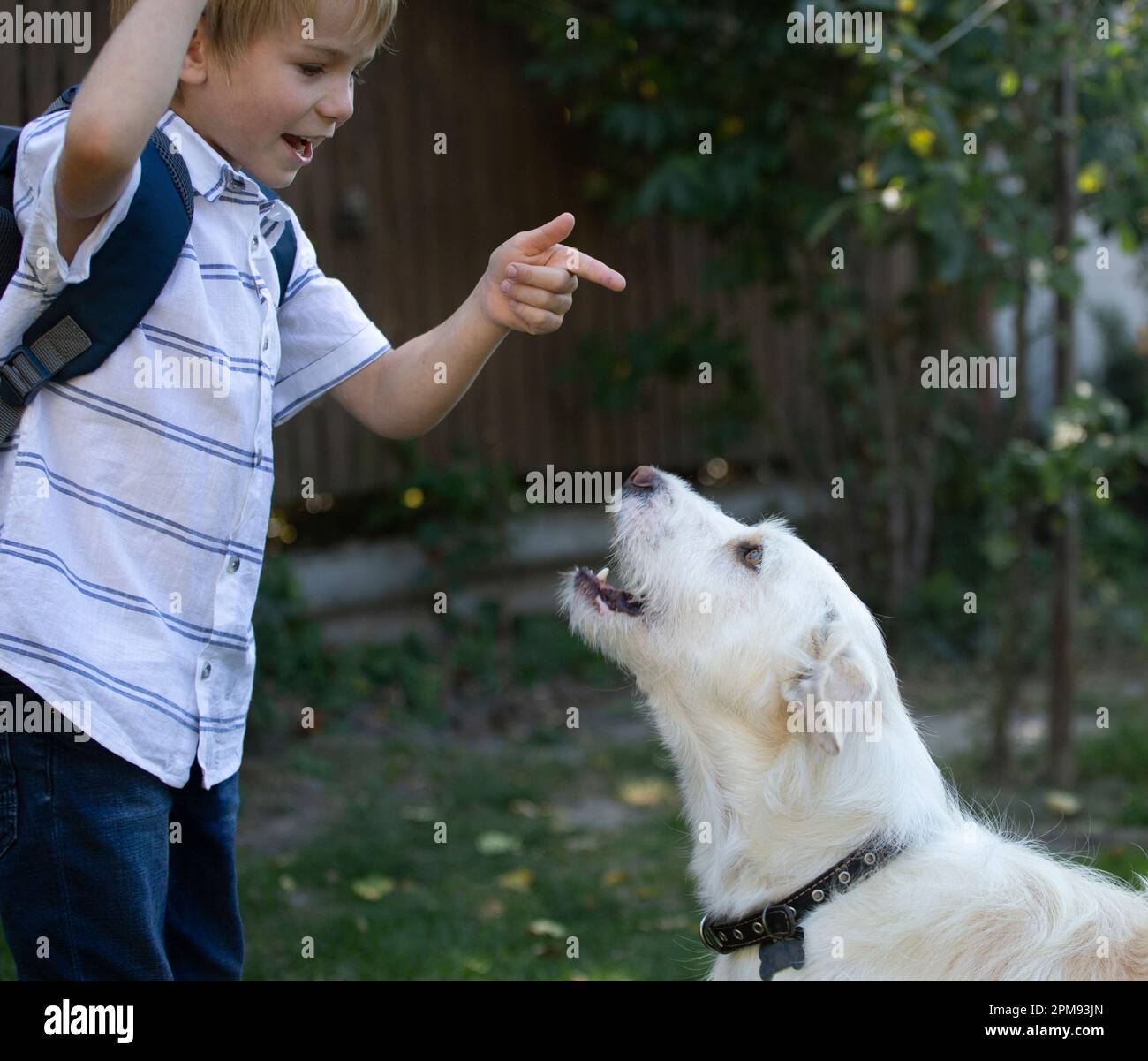 6-year-old boy plays cheerfully with his white dog, teaches his beloved ...