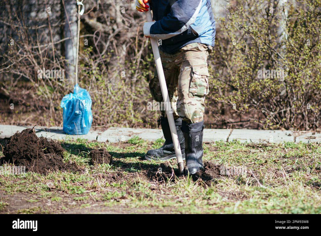 Dig tree man hi-res stock photography and images - Alamy