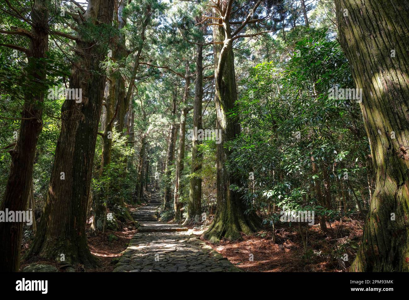 Nachikatsuura, Japan - March 19, 2023: Daimon-zaka is a famous slope is ...