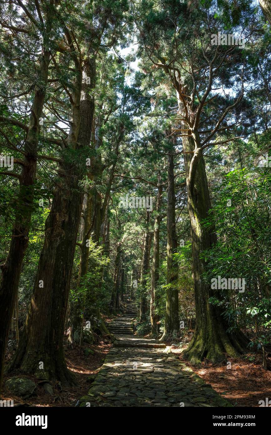 Nachikatsuura, Japan - March 19, 2023: Daimon-zaka is a famous slope is ...