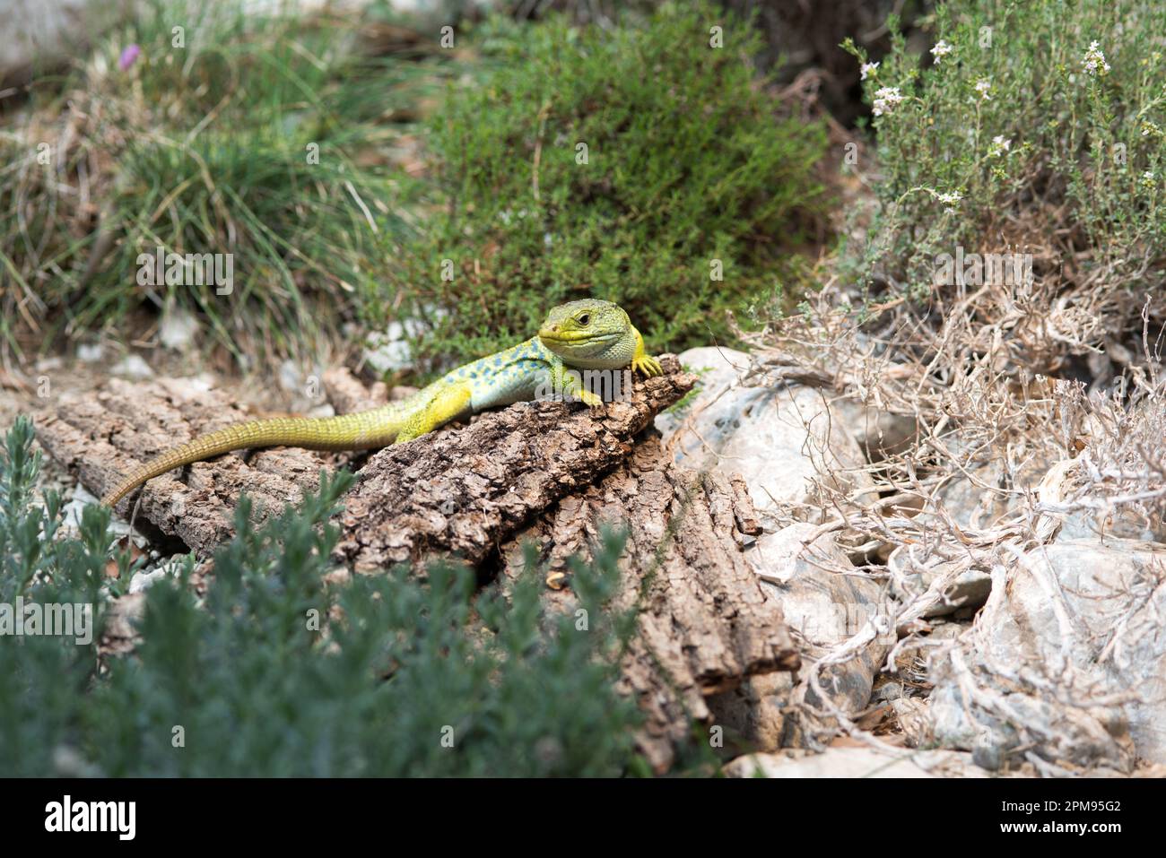 Acqua energia hi-res stock photography and images - Alamy