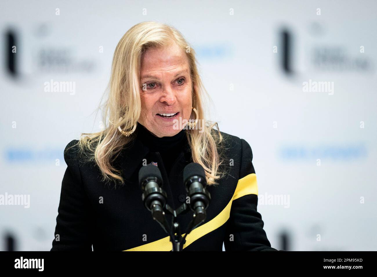 US Ambassador to the United Kingdom Jane Hartley speaks at Ulster ...