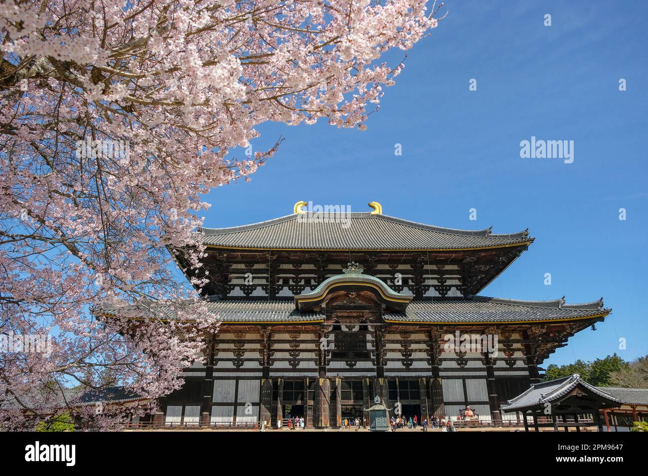 Nara, Japan - March 22, 2023: Todaiji Temple is a Buddhist temple in ...