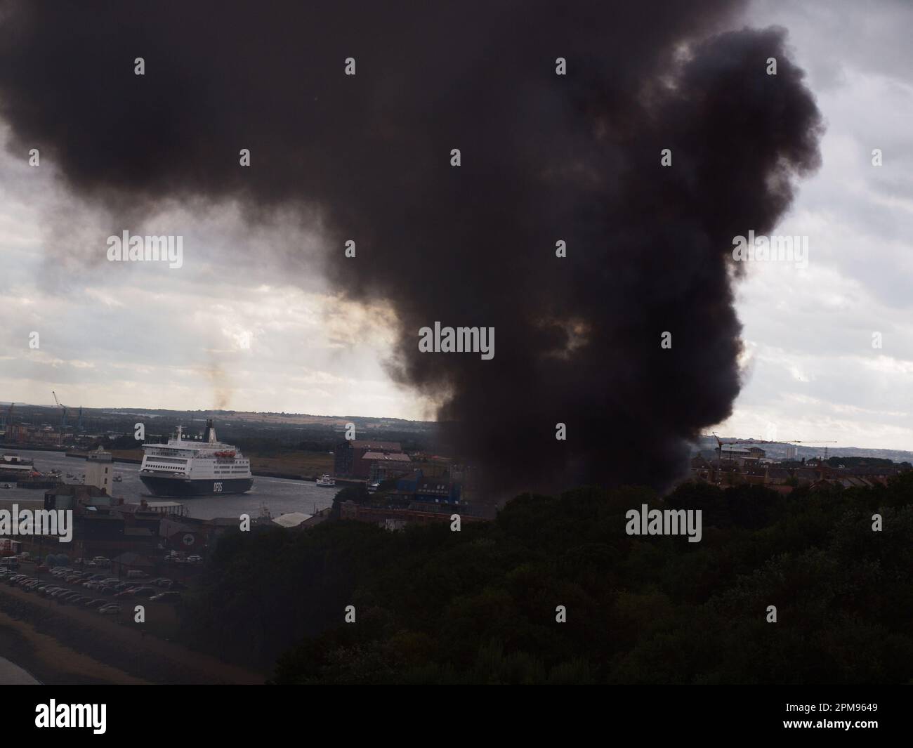 Firefighter ladder tree hi-res stock photography and images - Alamy