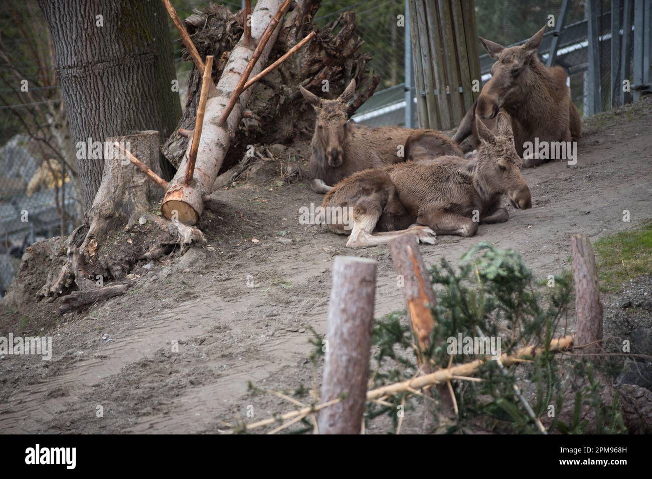 Acqua energia hi-res stock photography and images - Alamy