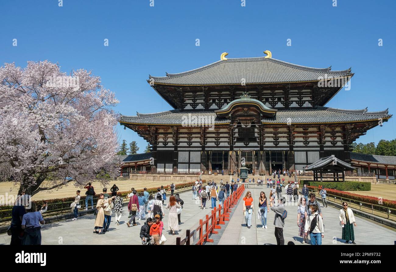 Nara, Japan - March 22, 2023: Tourists visiting the Todaiji Temple is a ...